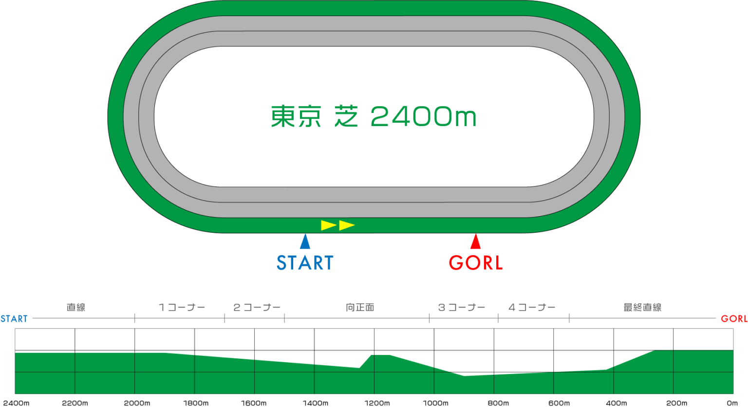 【東京競馬場 芝2400m】過去血統データから読み解く！コース解説 | ツギクルバケン